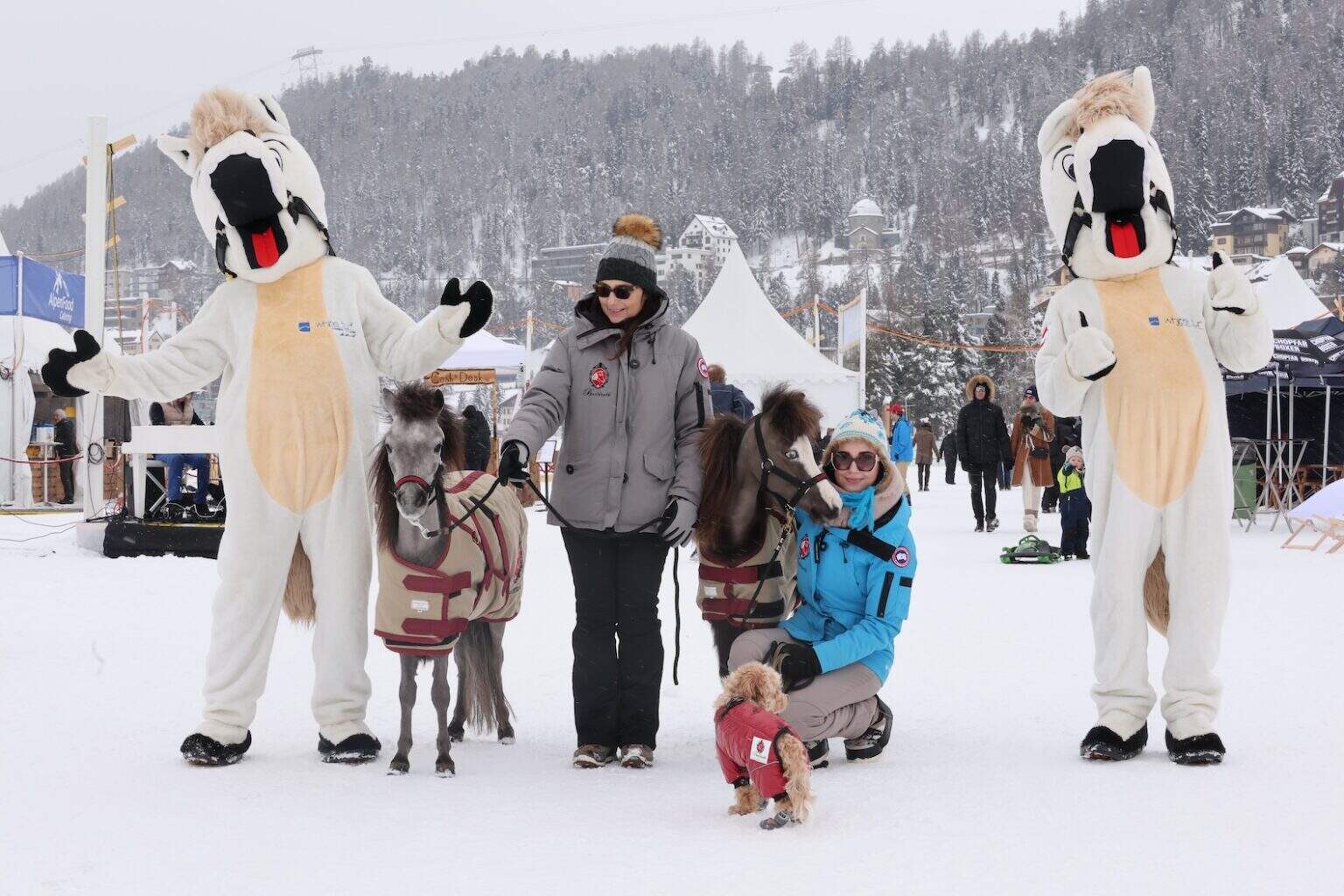 White Turf St Moritz 2025 118 Jahre Internationale Pferderennen Auf